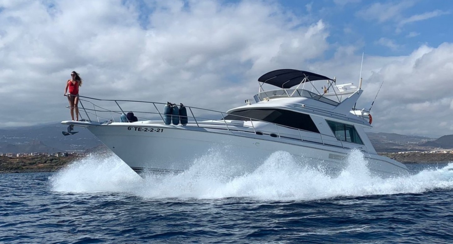 Mieten Sie ein Motorboot Sea Ray 550 Sedan Bridge Aguadulce (Mayantigo ...