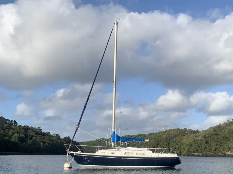 Mieten Sie ein Segelboot contest 29 Port de Sainte-Marine (Contest 29 ...