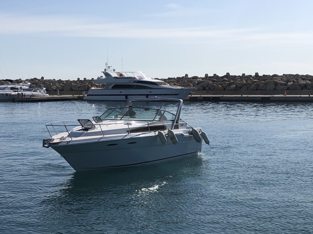 Mieten Sie ein motorboot Sea Ray 300 Weekender Palma de Mallorca (Sea ...